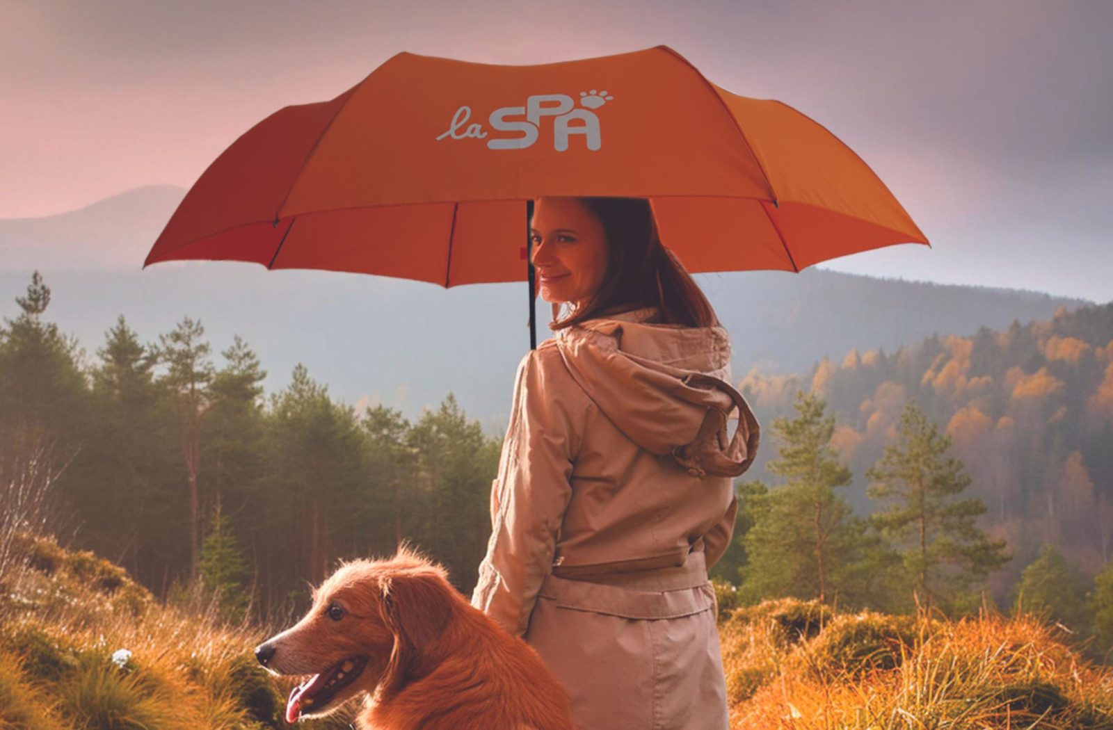 Tous nos produits • Boutique La SPA